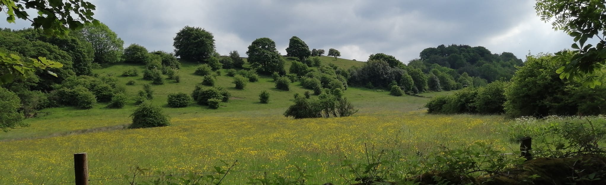 Porter Brook Trail: 134 Reviews, Map - South Yorkshire, England | AllTrails