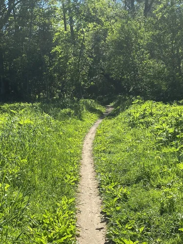 10 Best Mountain Biking Trails in Wisconsin | AllTrails