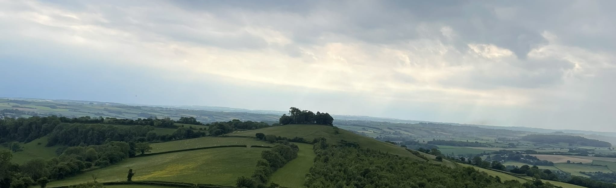 Bath Racecourse and Prospect Stile Circular: 3 Reviews, Map - Somerset ...