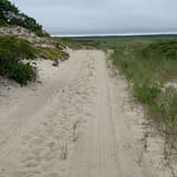Sandy Neck Nature Trail, Massachusetts - 419 Reviews, Map | AllTrails