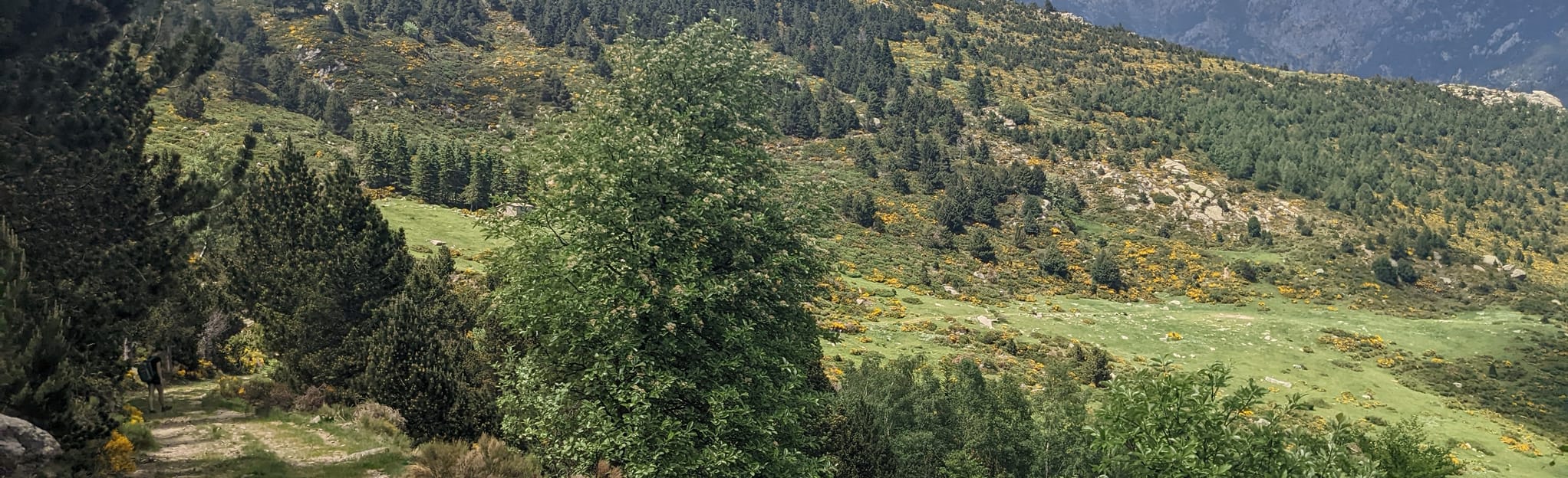 Leca et la Devesa: 11 foto's - Pyrénées-Orientales, Frankrijk ...