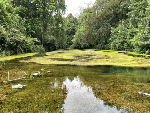 Best Hikes and Trails in Blackheath Common | AllTrails