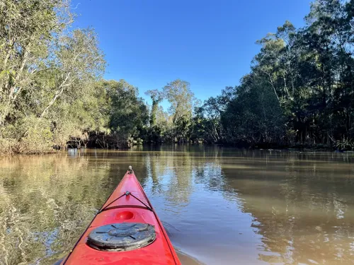 Best Hikes and Trails in Everlasting Swamp National Park | AllTrails