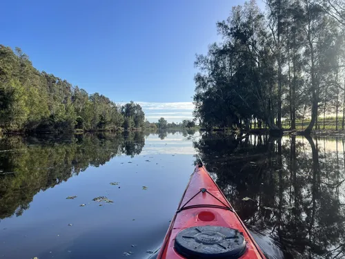 Best Hikes and Trails in Everlasting Swamp National Park | AllTrails