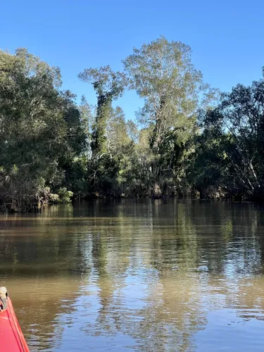 Best Hikes and Trails in Everlasting Swamp National Park | AllTrails