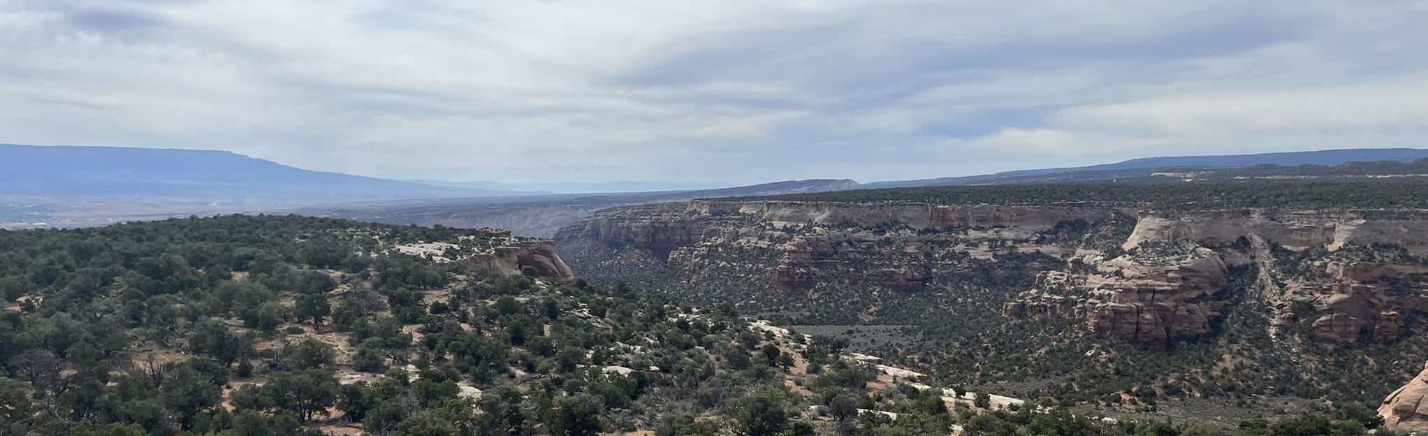 Liberty Cap Trail: 161 Reviews, Map - Colorado | AllTrails