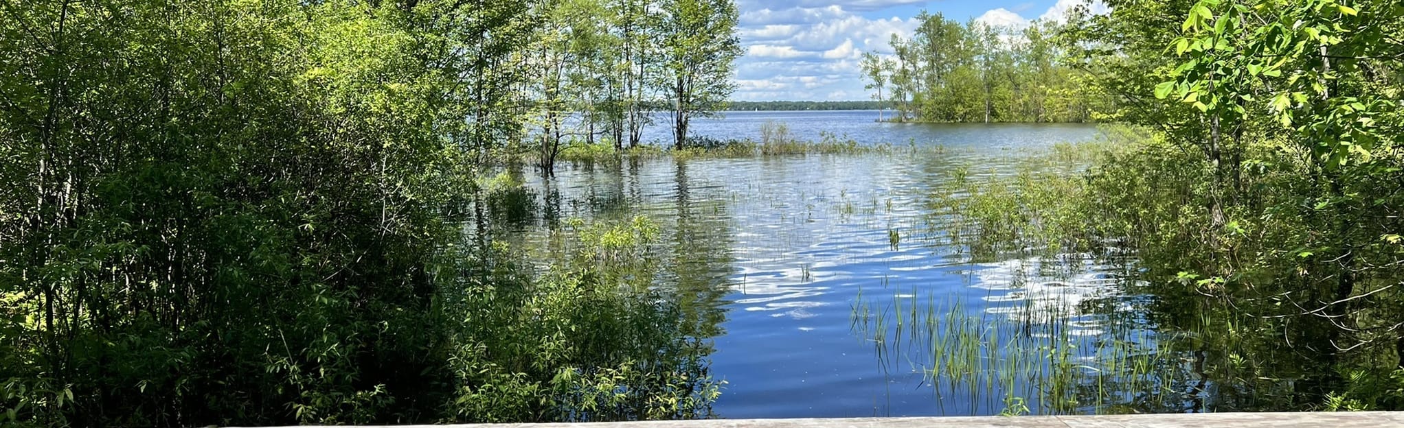 Greenbelt Pathway West to Shirley's Bay, Ontario, Canada - 64 Reviews ...