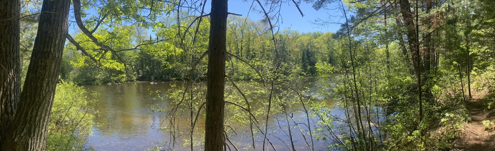 Big River Trail : 7 Reviews, Map - Wisconsin | AllTrails