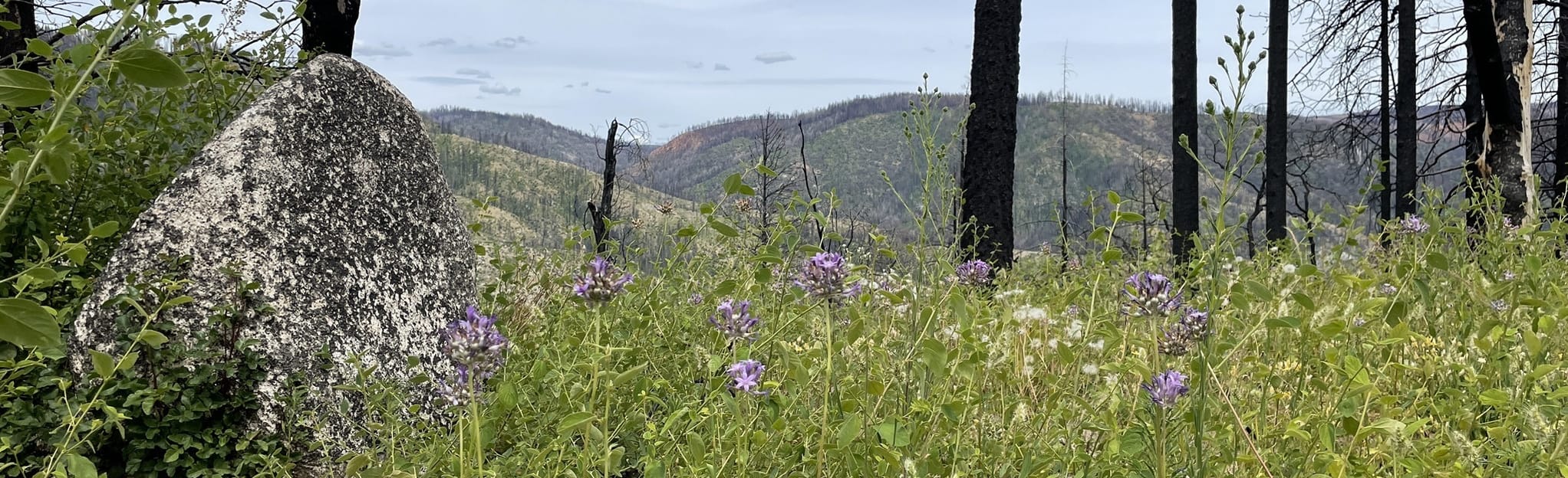 Curtain Falls and Bald Rock Dome Trail [CLOSED], California - 46 ...