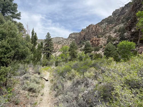 Best Hikes and Trails in Mt. Moriah Wilderness | AllTrails