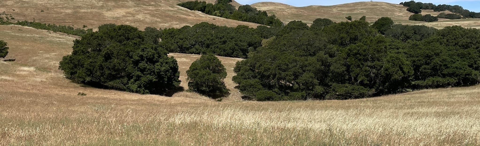 Diablo View, Spengler, Toyon Canyon, and Orchard Loop, California - 899 ...