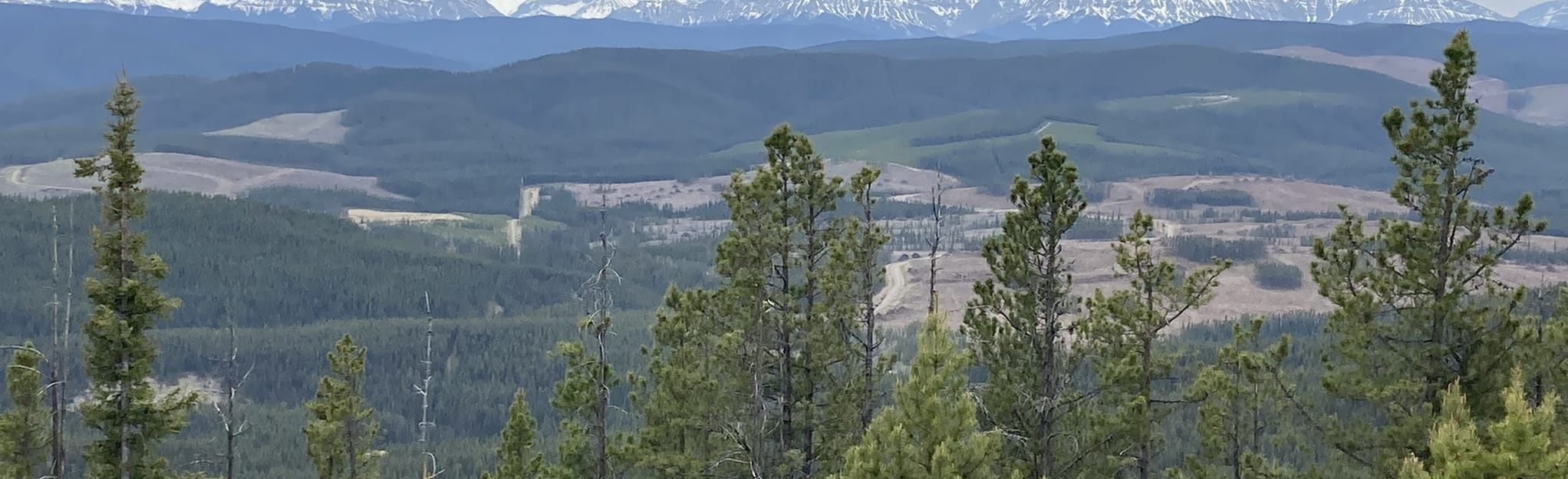Blackstone Fire Lookout, Alberta, Canada - 4 Reviews, Map | AllTrails