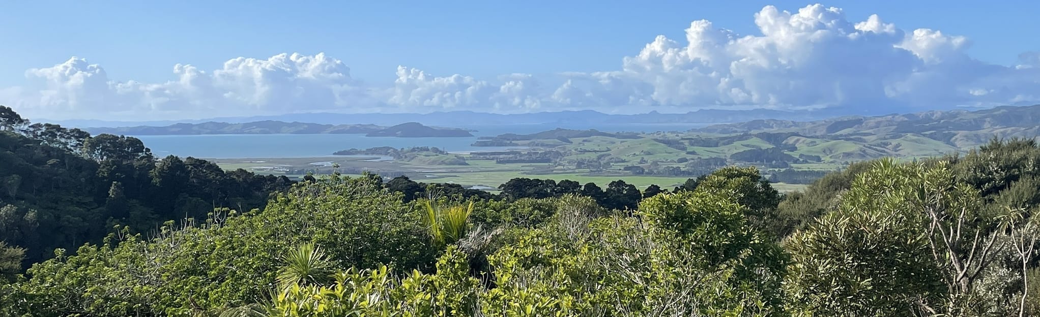 Clevedon Reserve and Kimtons Road Track, 188 Fotos - Auckland, New ...