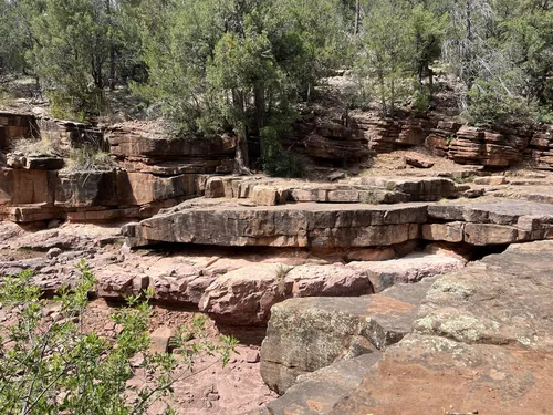 Best Off Road Driving Trails in Payson | AllTrails