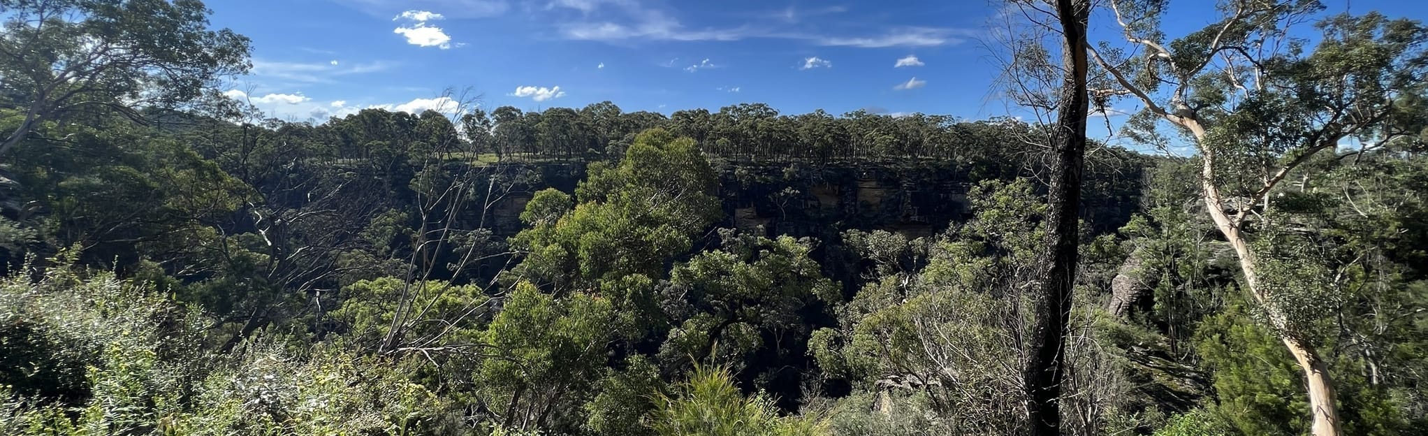 Mermaid Pools and Tahmoor Canyon Circuit: 287 Reviews, Map - New South ...