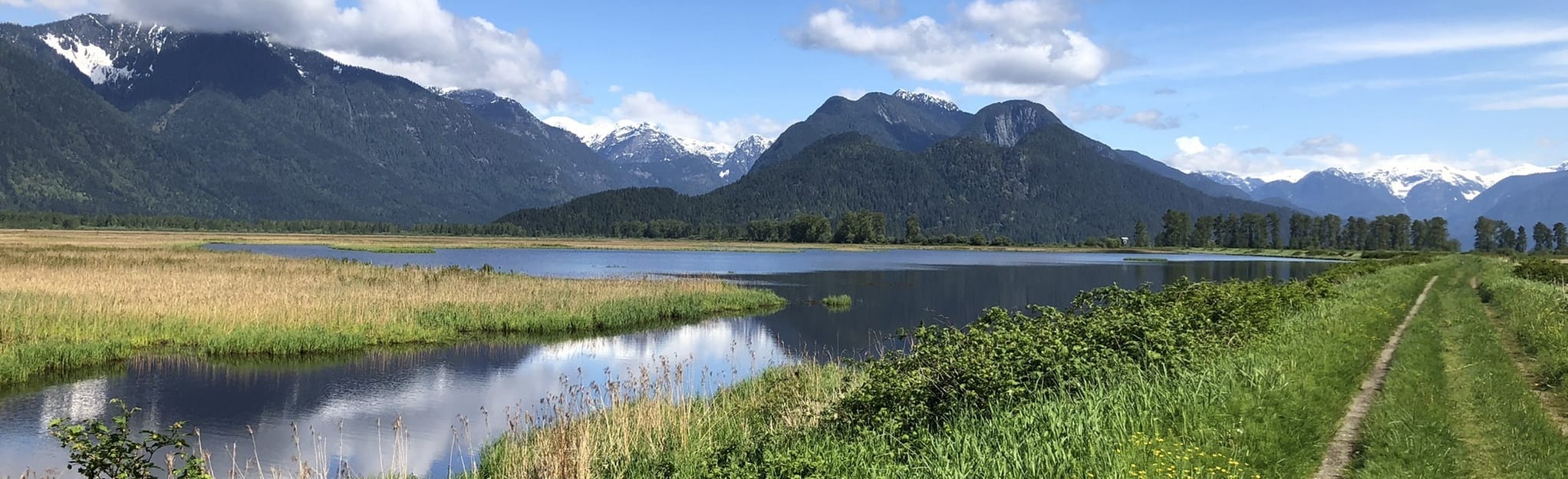 Crane - Snake Rock - Mountain - Swan - Pitt Lake | Map, Guide - British ...