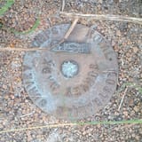 Mount Fox, Queensland, Australia - 13 Reviews, Map | AllTrails