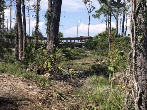 Best Hikes and Trails in William J Rish Park | AllTrails