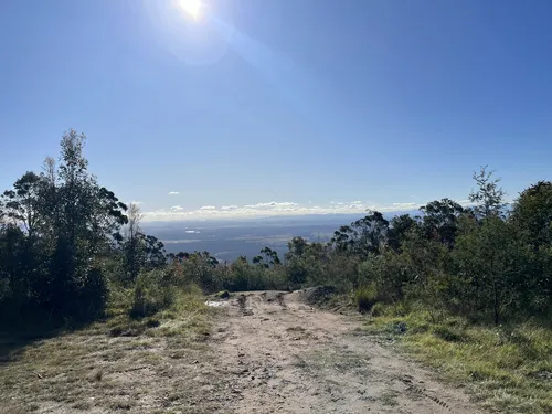 Best Hikes and Trails in Pokolbin State Forest | AllTrails