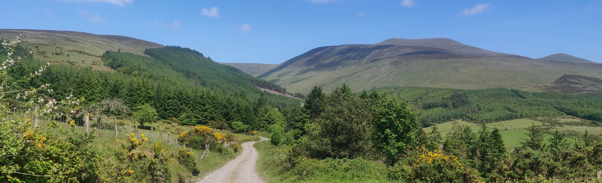 Galty Castle Loop: 35 Reviews, Map - County Limerick, Ireland | AllTrails