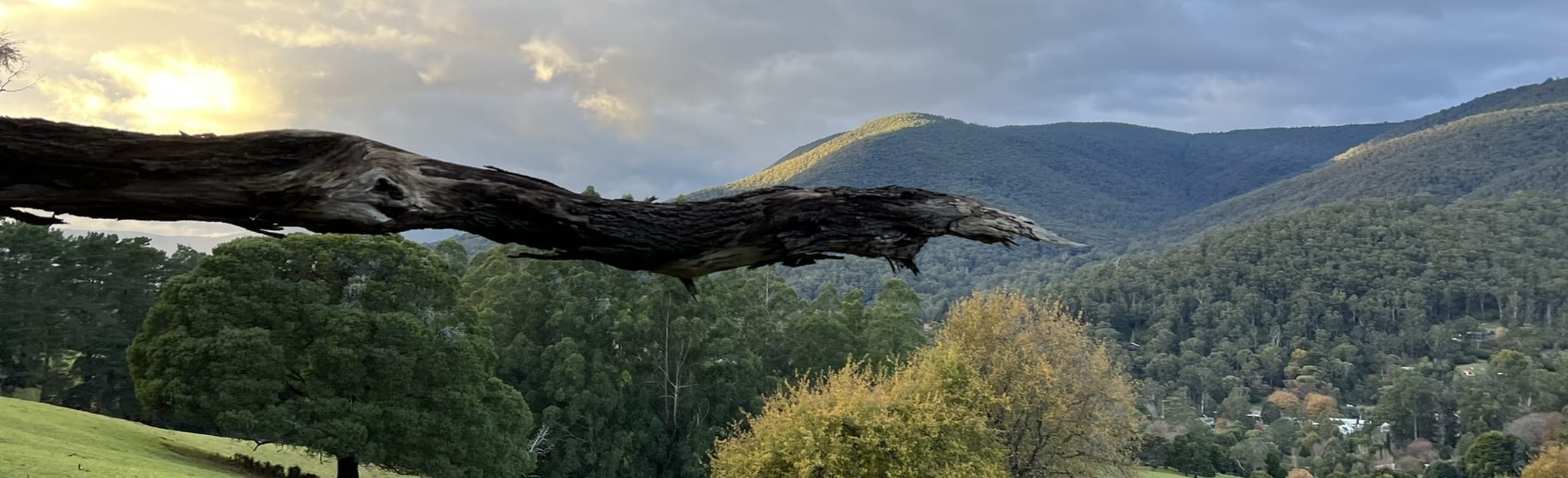 Mount Victoria Track: 498 fotos - Vitória, Austrália | AllTrails