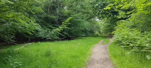 Best Hikes and Trails in Burnham Beeches | AllTrails