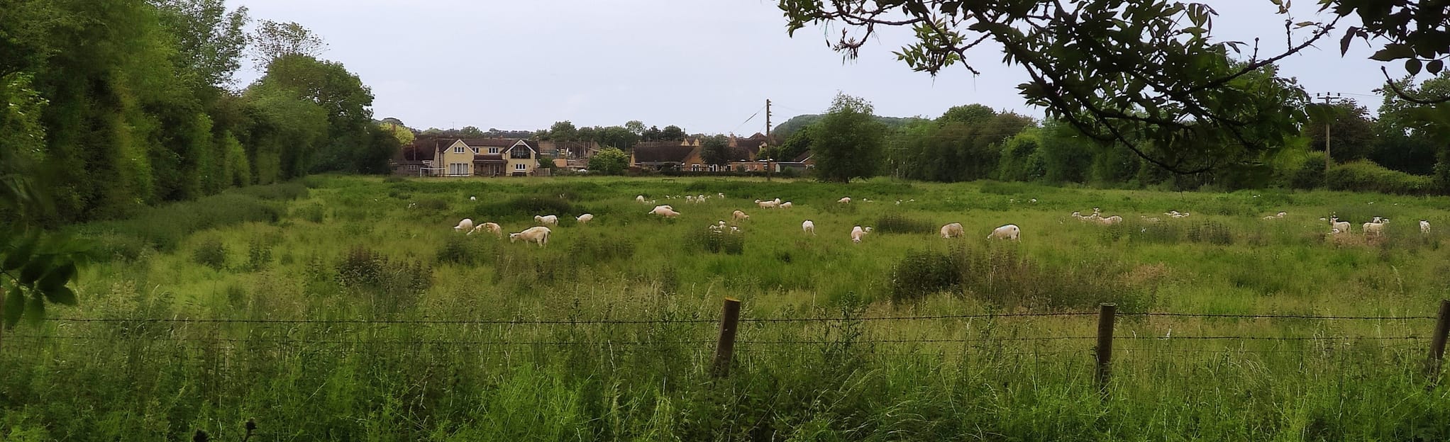Ducklington and Witney Lake Circular: 6 Reviews, Map - Oxfordshire ...