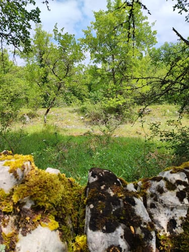 2023 Best Historic Site Trails in Assier | AllTrails