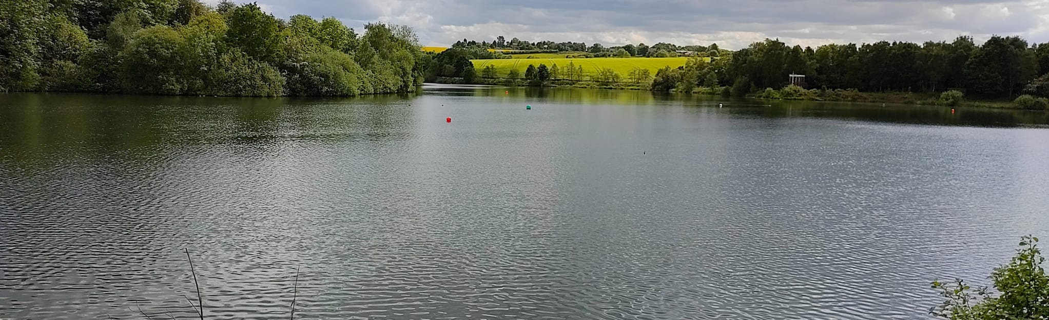 Whiston and Ulley Country Park Circular: 28 Reviews, 83 Photos, Map ...