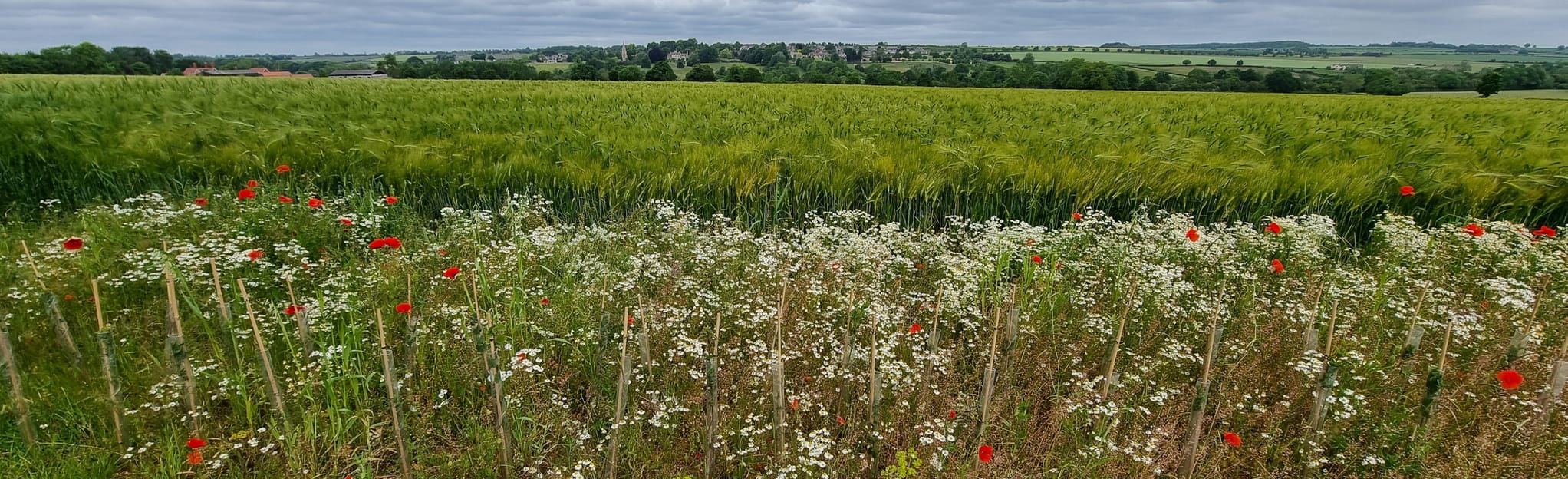 North Luffenham Circular: 23 Reviews, Map - Rutland, England | AllTrails