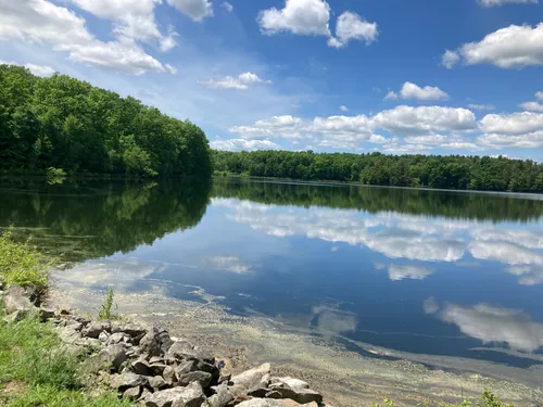 Best Hikes and Trails in Middletown Reservoir Trails | AllTrails