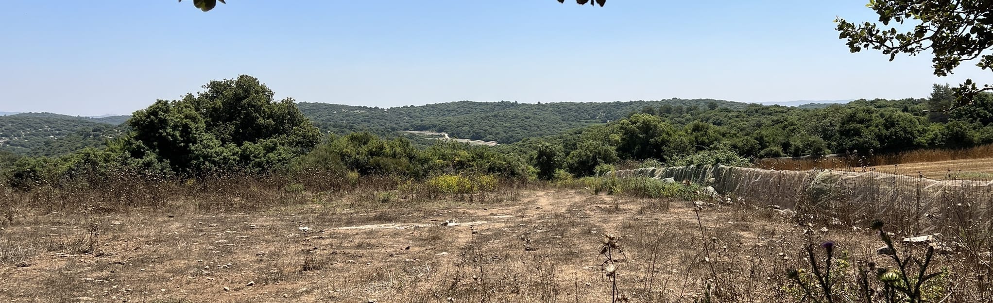 Zichron Yaakov Circuit, Haifa, Israel - 10 Reviews, Map | AllTrails