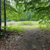 Diamond Hill Mountain Bike Trail, Rhode Island - 321 Reviews, Map ...