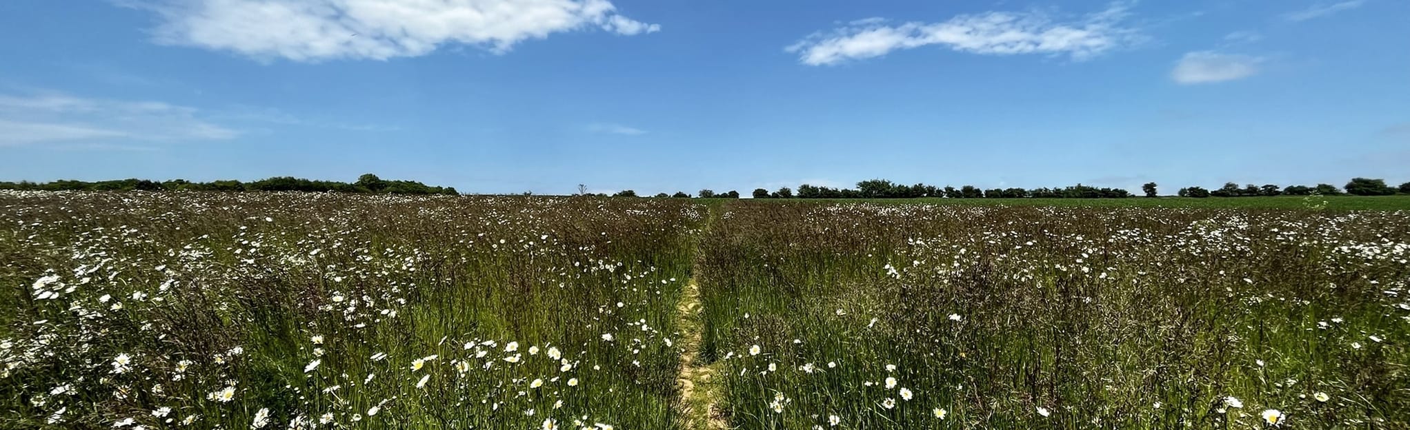 Walton to River Deben Circular, Suffolk, England - 5 Reviews, Map ...