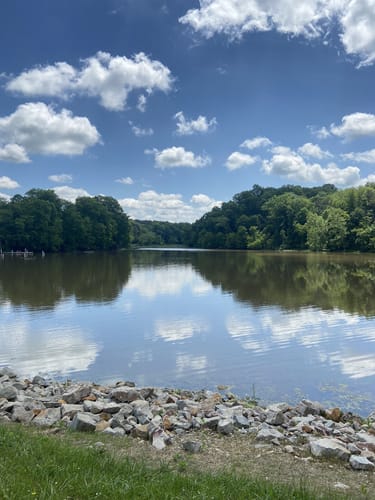 Best Hikes and Trails in Blue Rock State Park | AllTrails