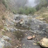 Cold Springs East Fork Trail, California - 300 Reviews, Map | AllTrails