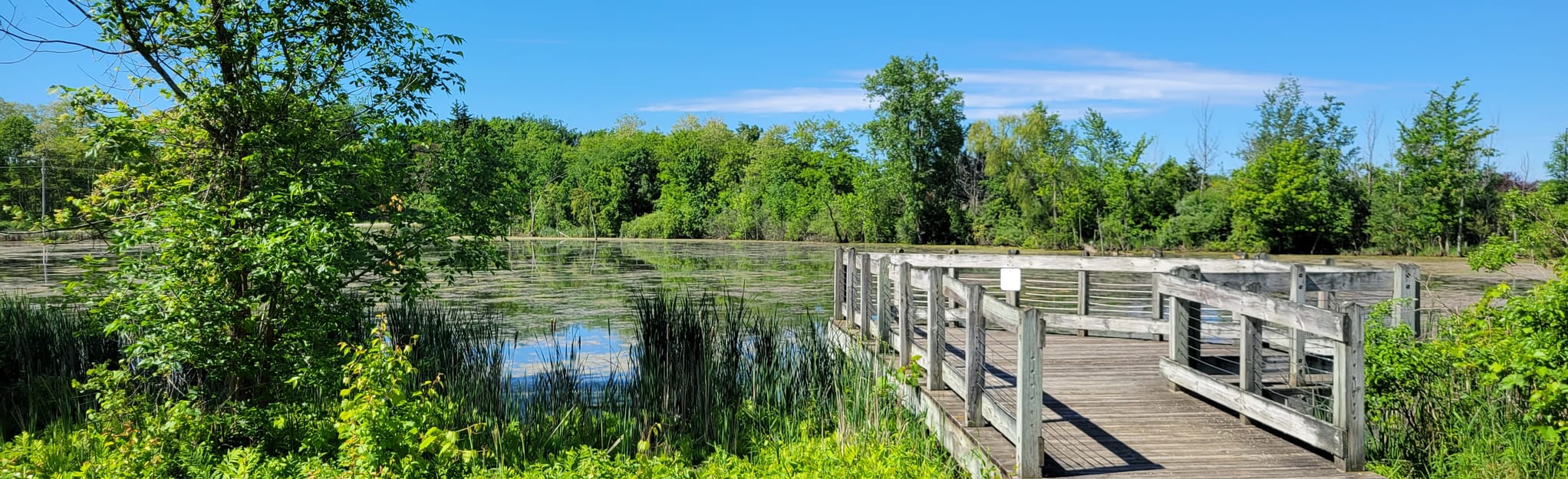 Genesys Nature Trail, Michigan - 160 Reviews, Map | AllTrails