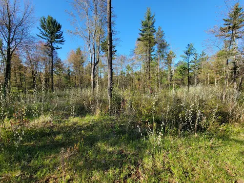 Best Hikes and Trails in Two Rivers | AllTrails