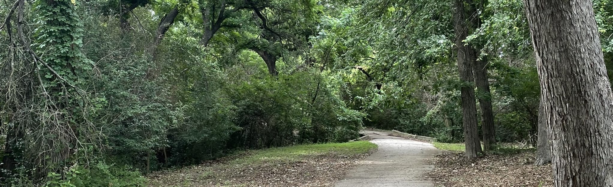 South Park Walking Trail, Texas - 91 Reviews, Map | AllTrails