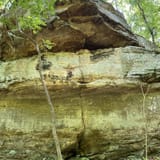Piney Creek Ravine Nature Reserve Trail, Illinois - 400 Reviews, Map ...