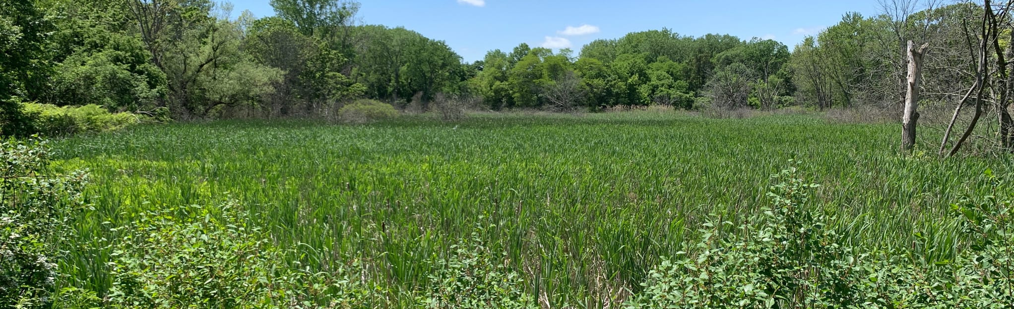 Boston Nature Center: Rabbit, Snail and Fox Trails, Massachusetts - 23 ...
