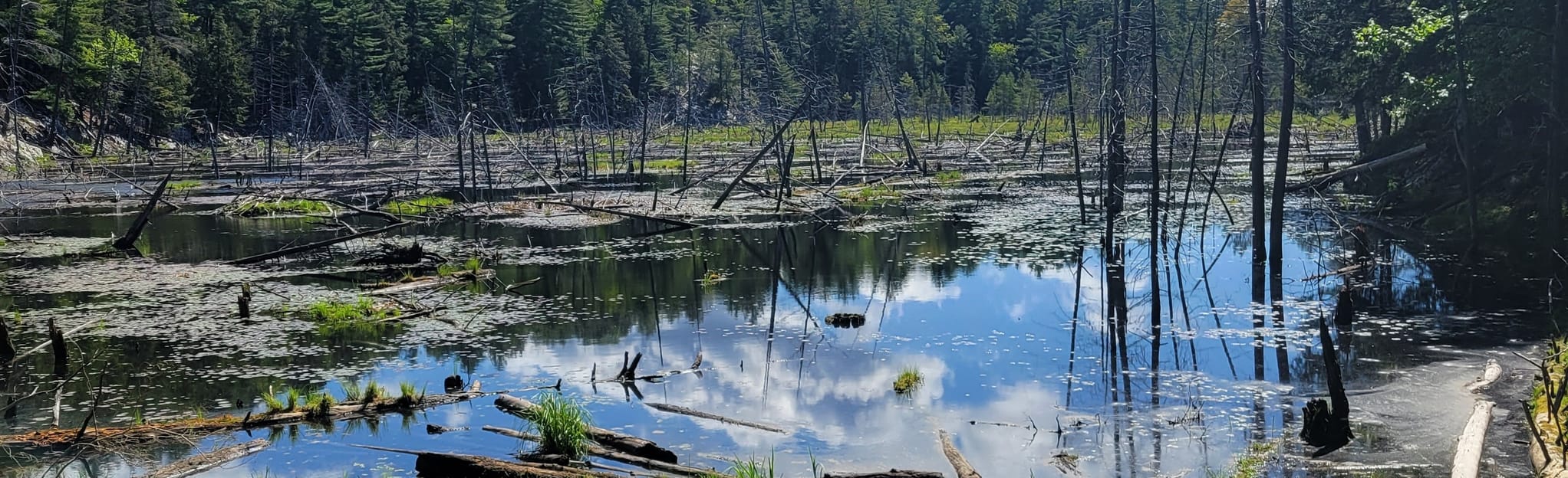 AllTrails | Red Deer Loop: 6 Reviews, Map - Ontario, Canada