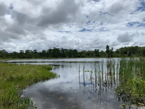 Best Hikes and Trails in Jay B. Starkey Wilderness Park | AllTrails