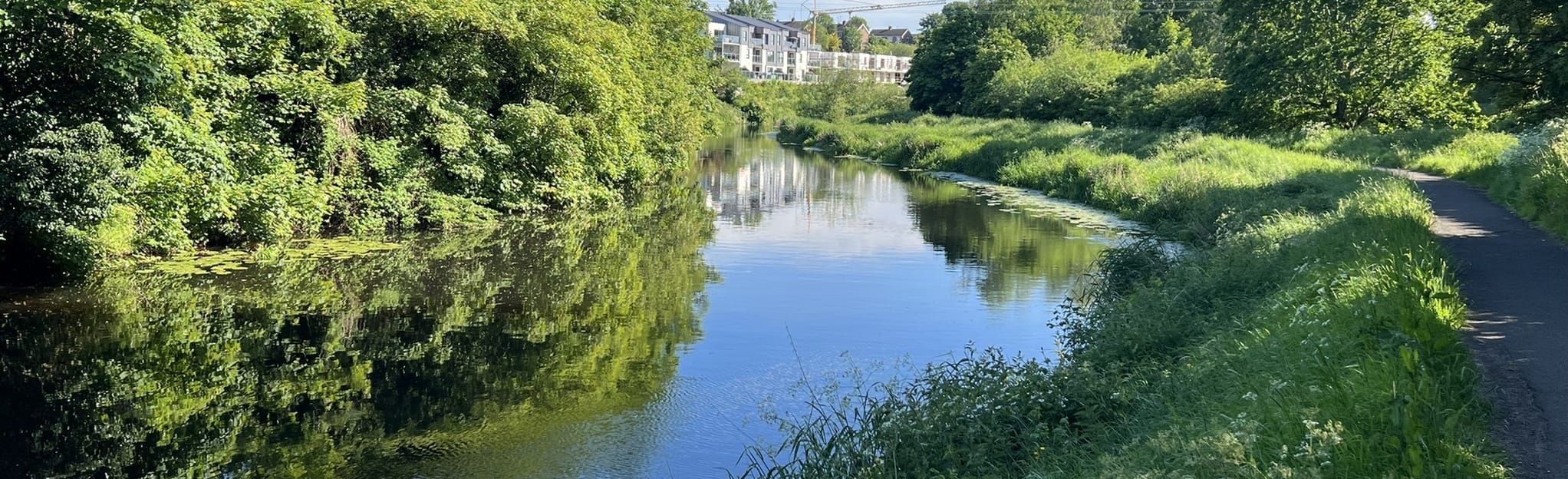 Lagan Towpath: Lady Dixon Park to Lisburn, Lisburn and Castlereagh ...