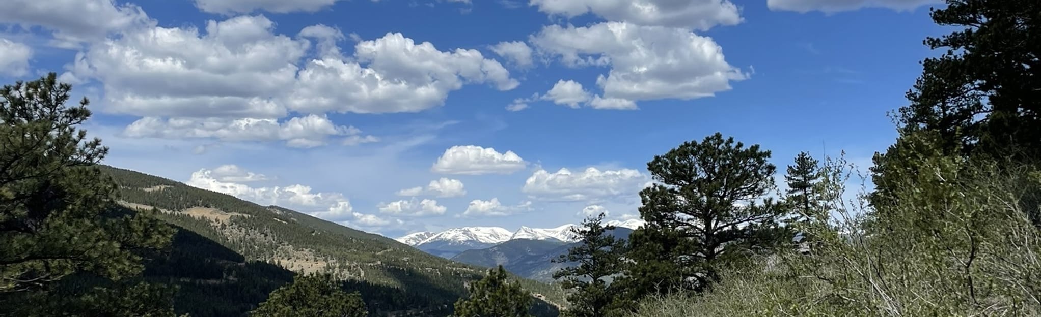 Skip Trail: 101 Reviews, Map - Colorado | AllTrails