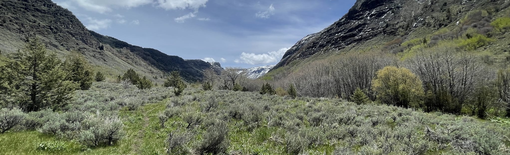 Little Blitzen Gorge Trail: 47 Reviews, Map - Oregon | AllTrails