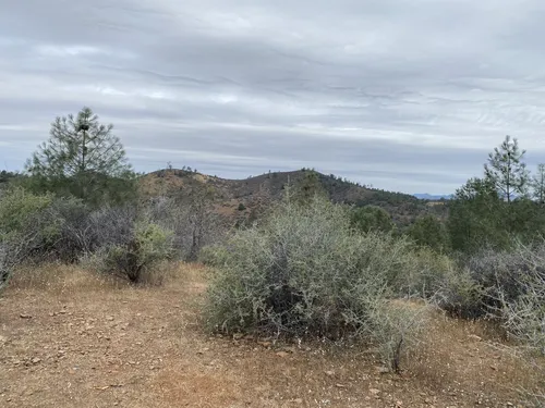 Best Wild Flowers Trails in Red Hills Recreation Management Area ...