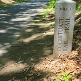 Cochituate Rail Trail, Massachusetts - 405 Reviews, Map | AllTrails