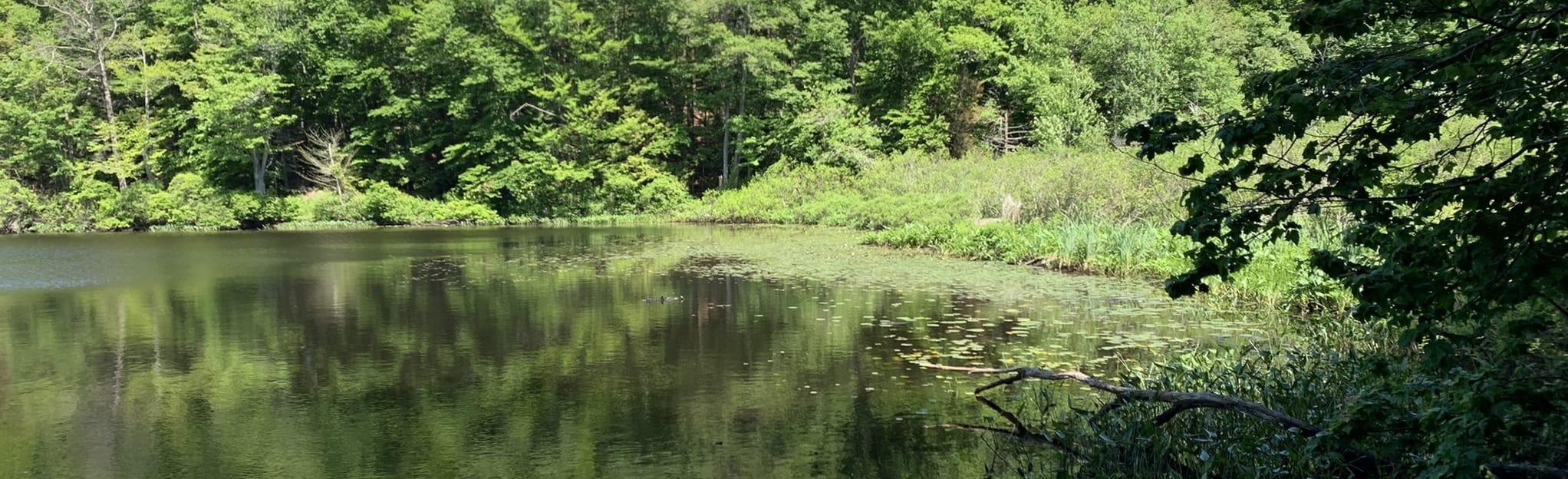 Gordon College Culvert Trail, Massachusetts - 283 Reviews, Map | AllTrails