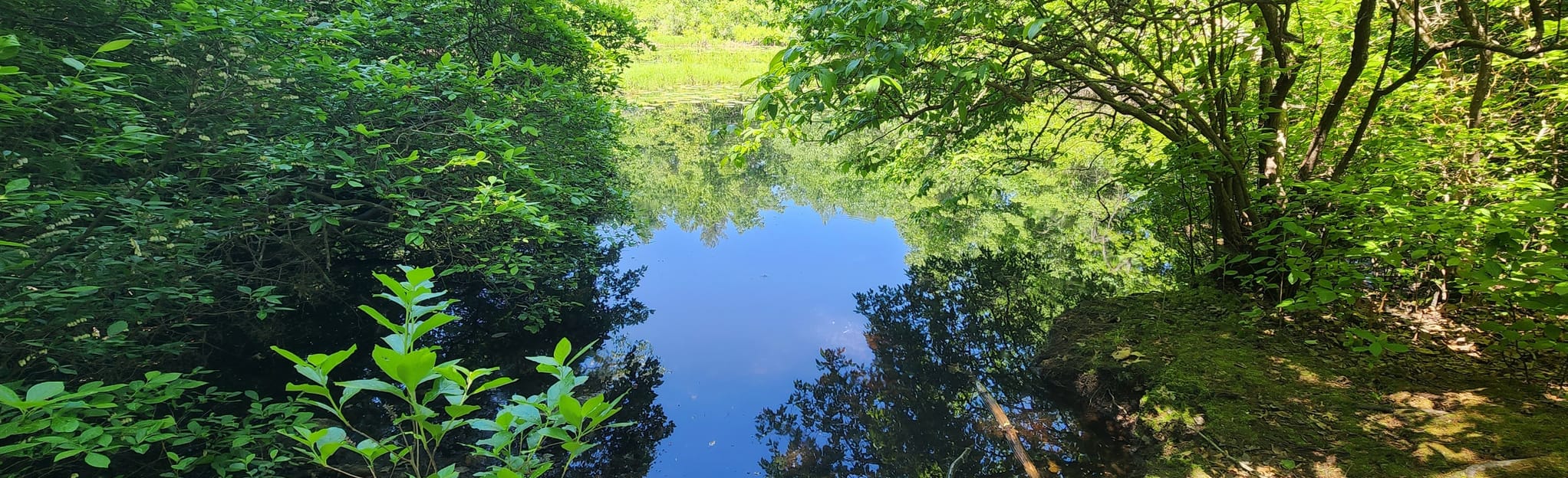 High Rock via Megley and High Rock Trail Loop: 149 Reviews, Map ...